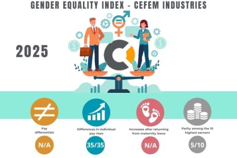 Cefem Groupe, manufacturer of electrical and photovoltaic equipment