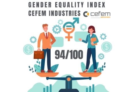 Cefem Groupe, manufacturer of electrical and photovoltaic equipment